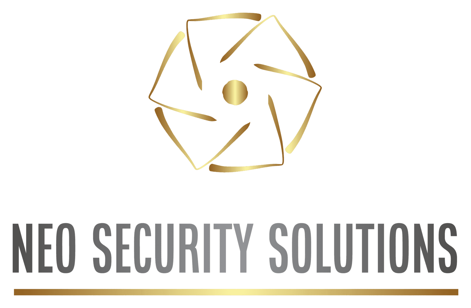 NEO Security Solutions Company
